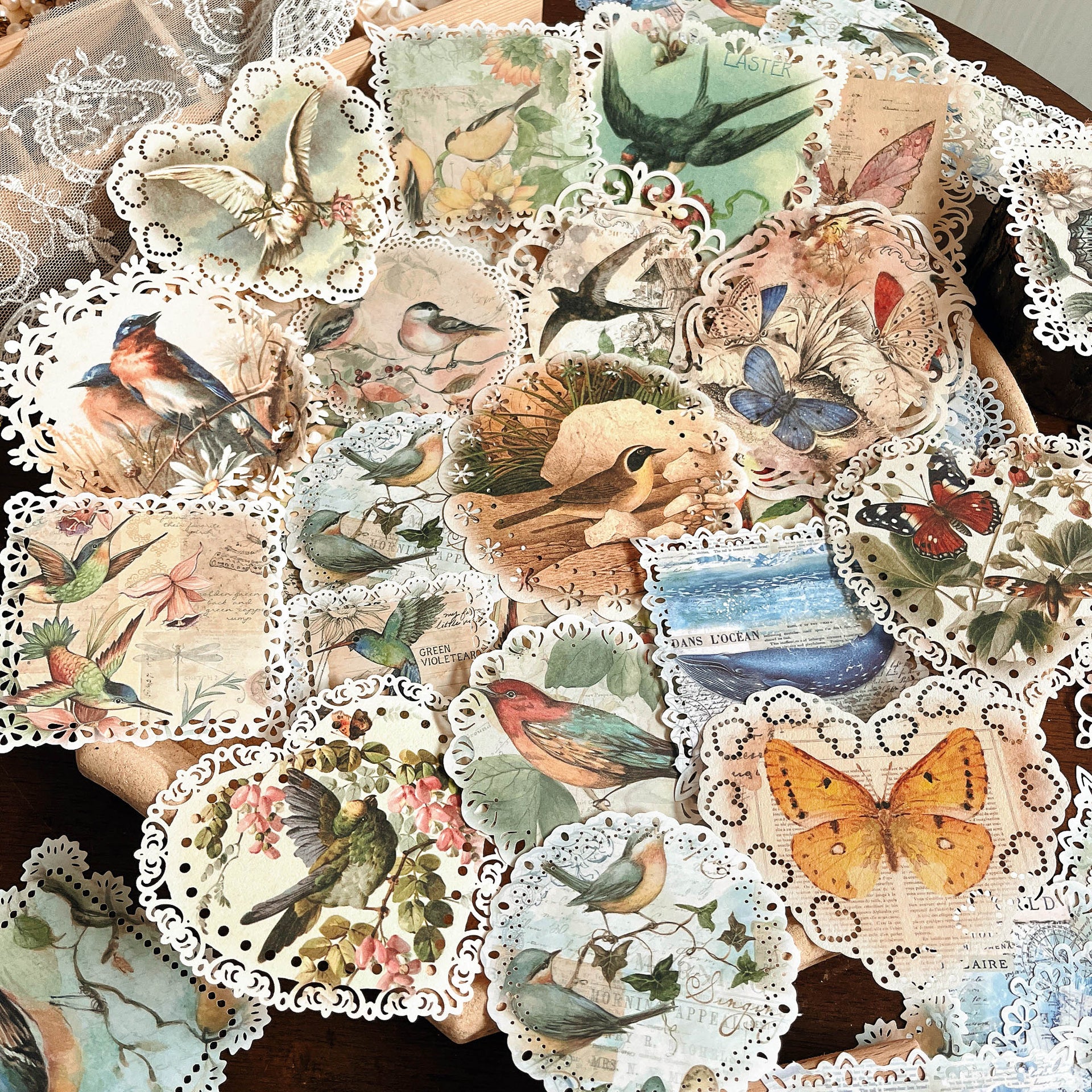 Heko Animal Lace Paper Doilies - Taperlogy