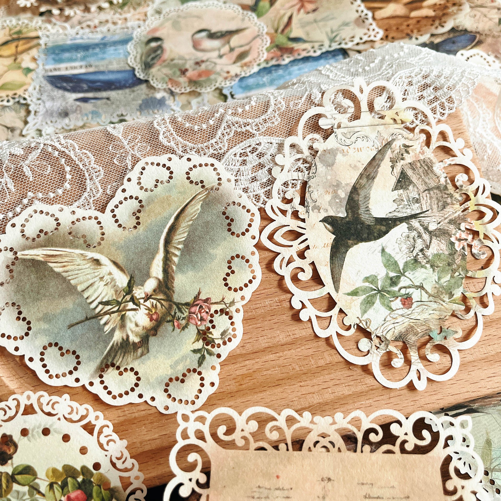 Heko Animal Lace Paper Doilies - Taperlogy