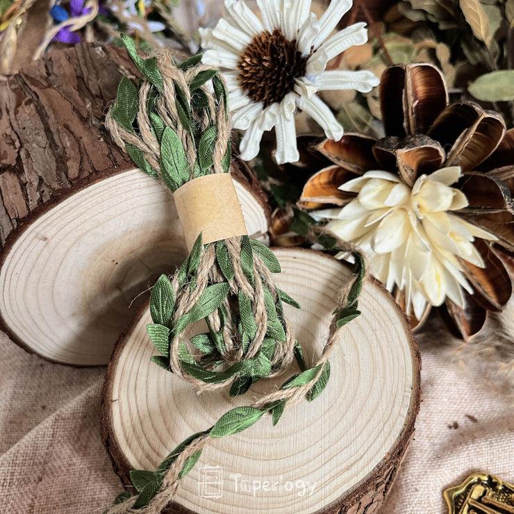 Soyi Vine Rope Pack - Taperlogy