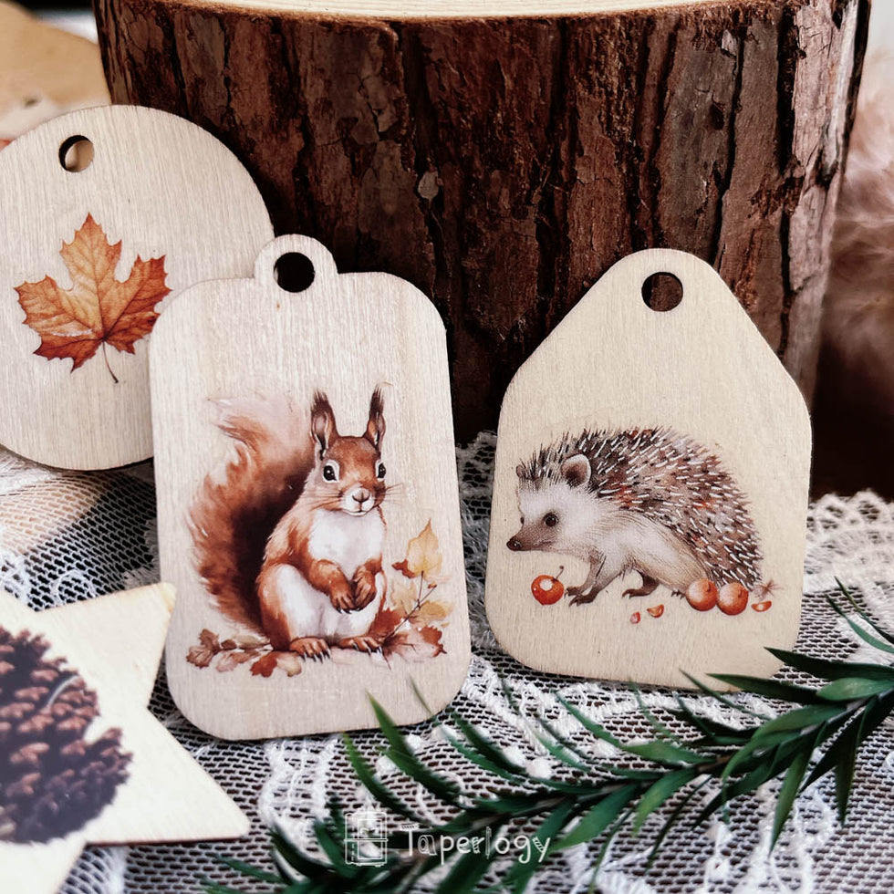 Mozi Wooden Tag Pack - Taperlogy