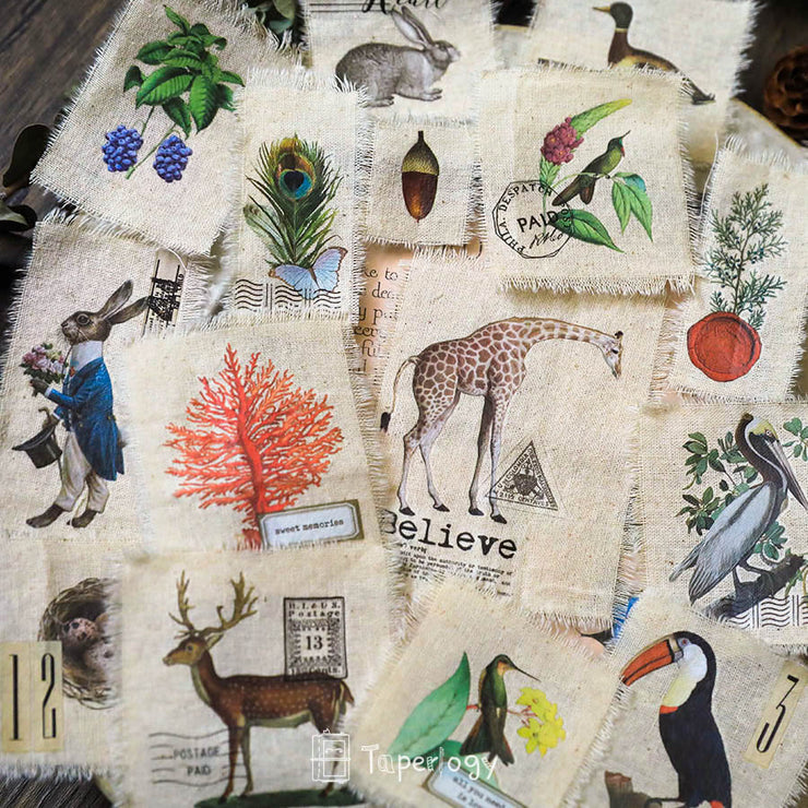 Doli Wildlife Animal Rub-on Stickers | Transfer Sticker - Taperlogy