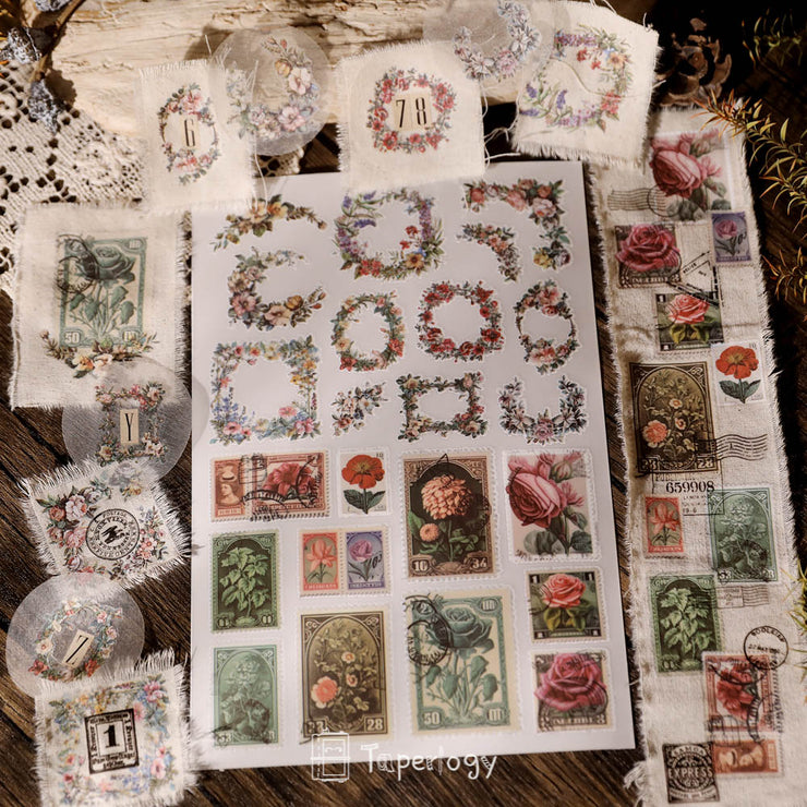 Taperlogy - Never Stop Dreaming, Never Stop Writing