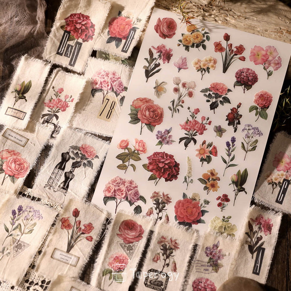 Taperlogy - Never Stop Dreaming, Never Stop Writing