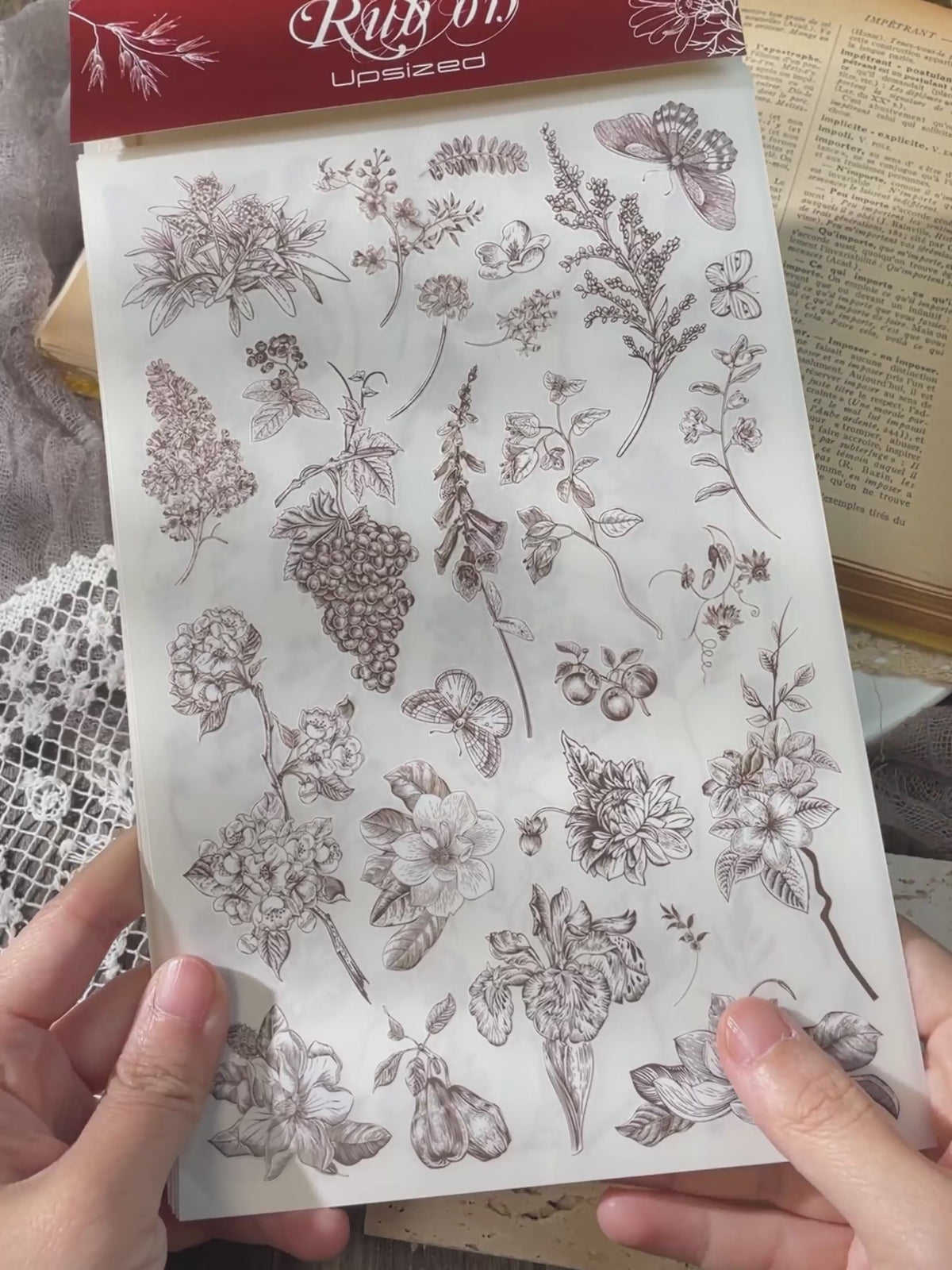 Joli Floral Upsized Rub-on Stickers | Transfer Sticker - Taperlogy