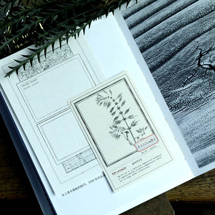 Mogutu Notepad Pack - Taperlogy