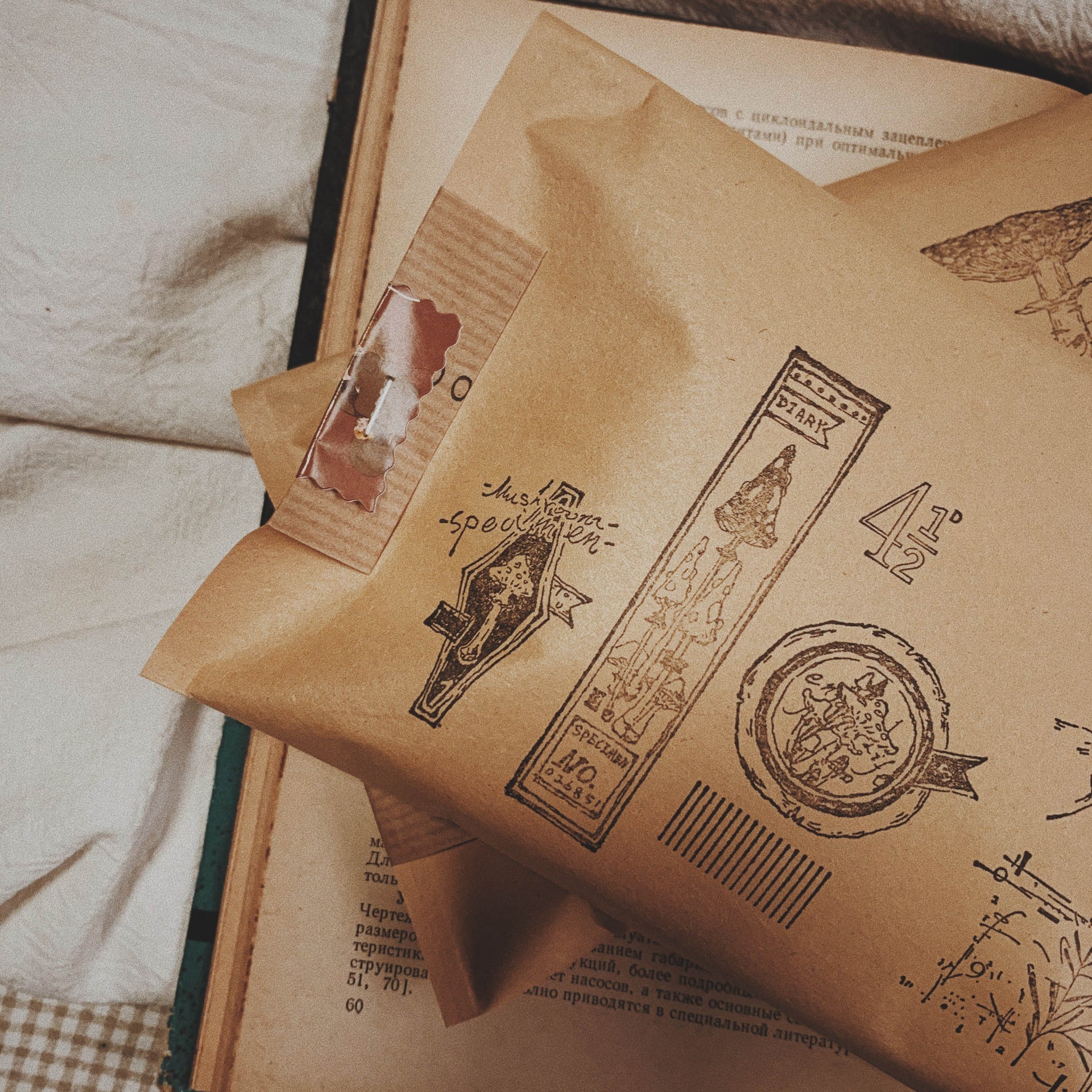 Mystery Journal Pack – Taperlogy