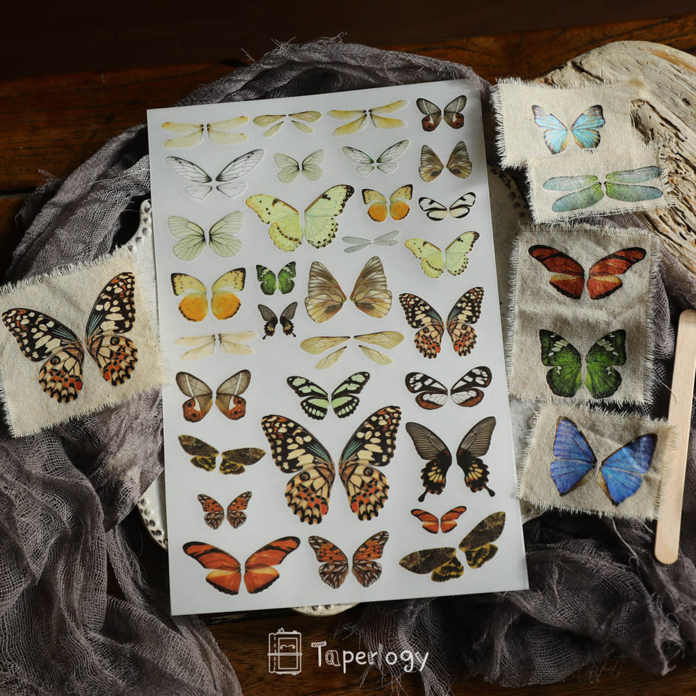 Boli Butterflies Rub-on Sticker | Transfer Sticker - Taperlogy
