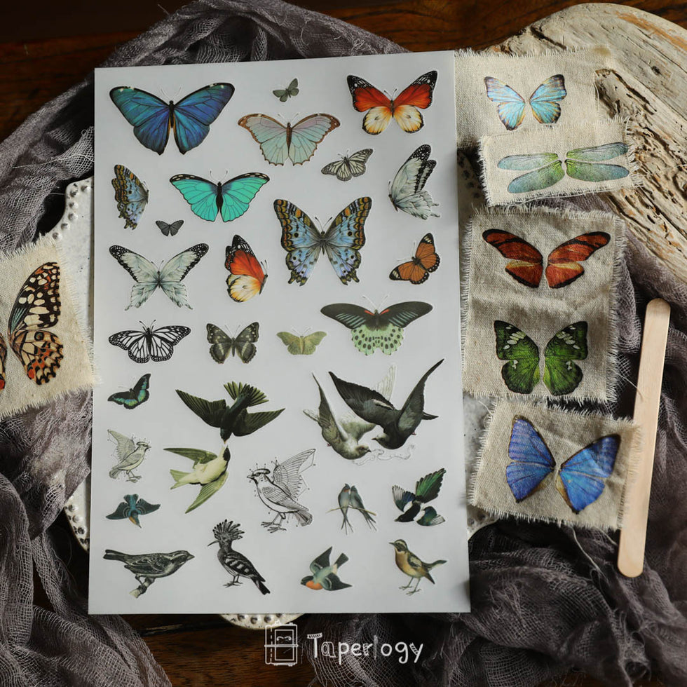 Boli Butterflies Rub-on Sticker | Transfer Sticker - Taperlogy