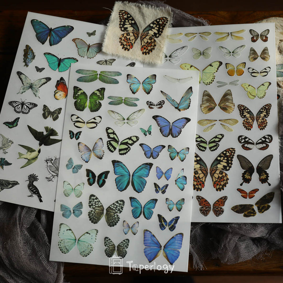 Boli Butterflies Rub-on Sticker | Transfer Sticker - Taperlogy