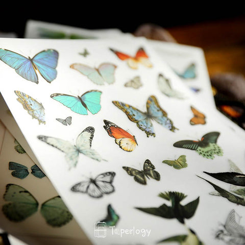 Boli Butterflies Rub-on Sticker | Transfer Sticker - Taperlogy
