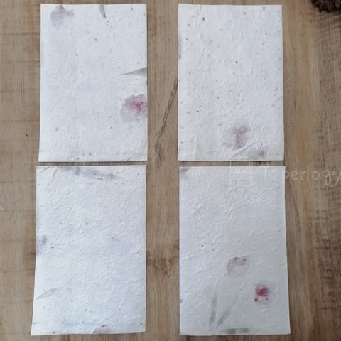 Casobo Handmade Paper Pack - Taperlogy