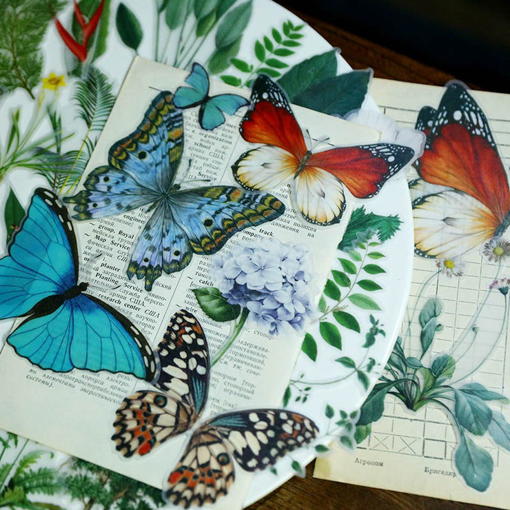 Datu Butterflies & Plants Vellum Stickers - Taperlogy